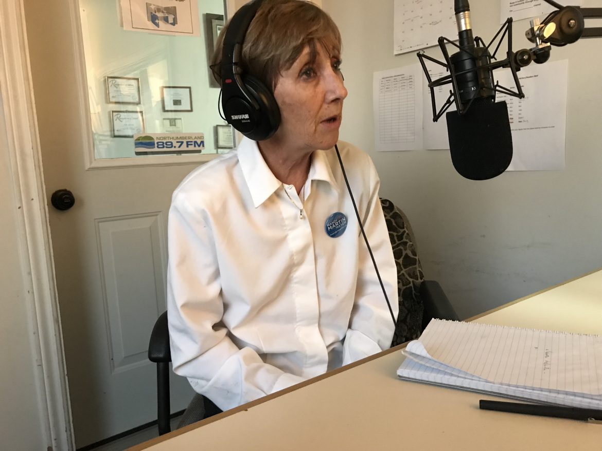 Municipal Election 2018: Mandy Martin challenges longtime incumbent ...